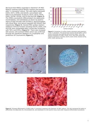 Stemline® XF MSC Medium has High Yield and Functionality in the 3 L ...