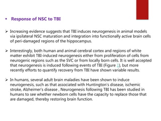 stem cell and Traumatic brain injury | PPTX