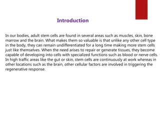 stem cell and Traumatic brain injury | PPT