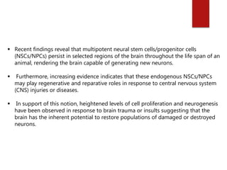 stem cell and Traumatic brain injury | PPT