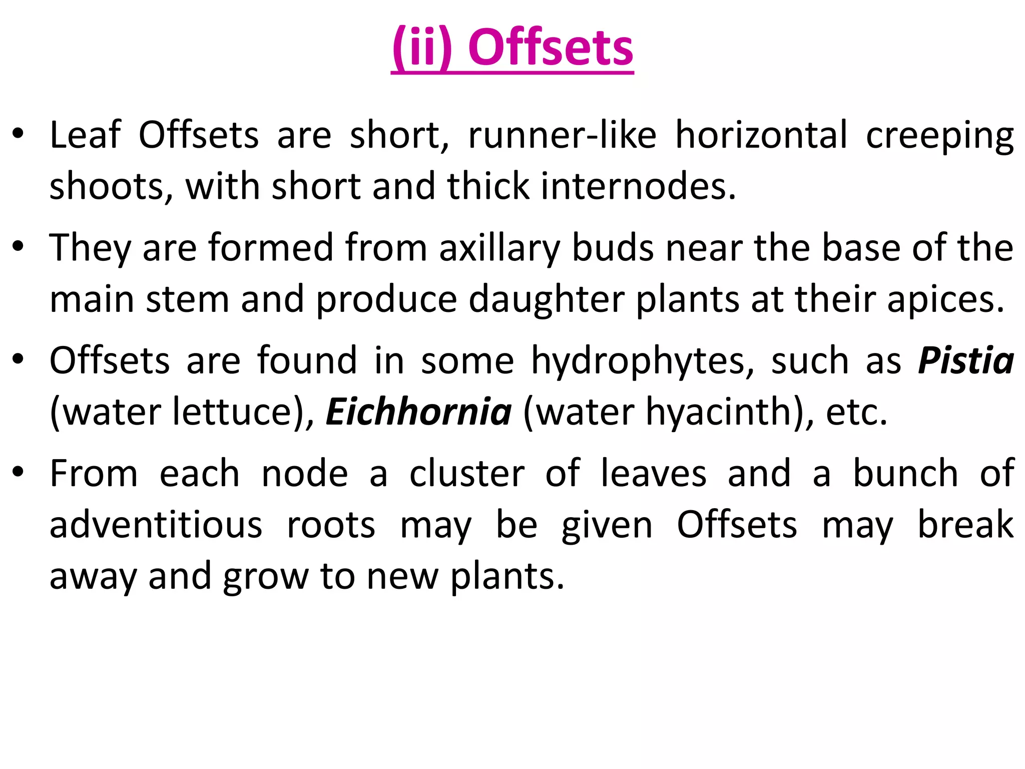 Stem modifications | PPTX