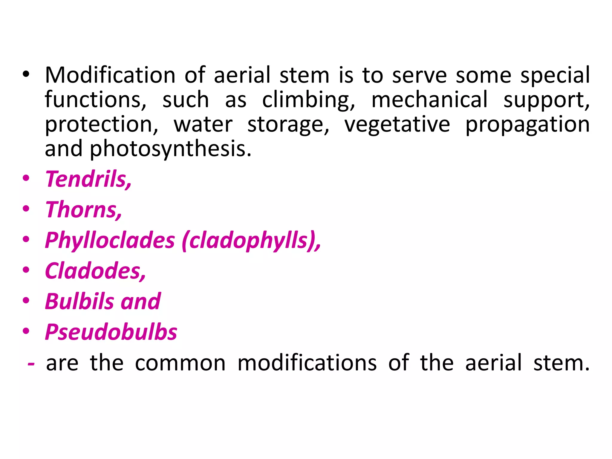 Stem modifications | PPTX