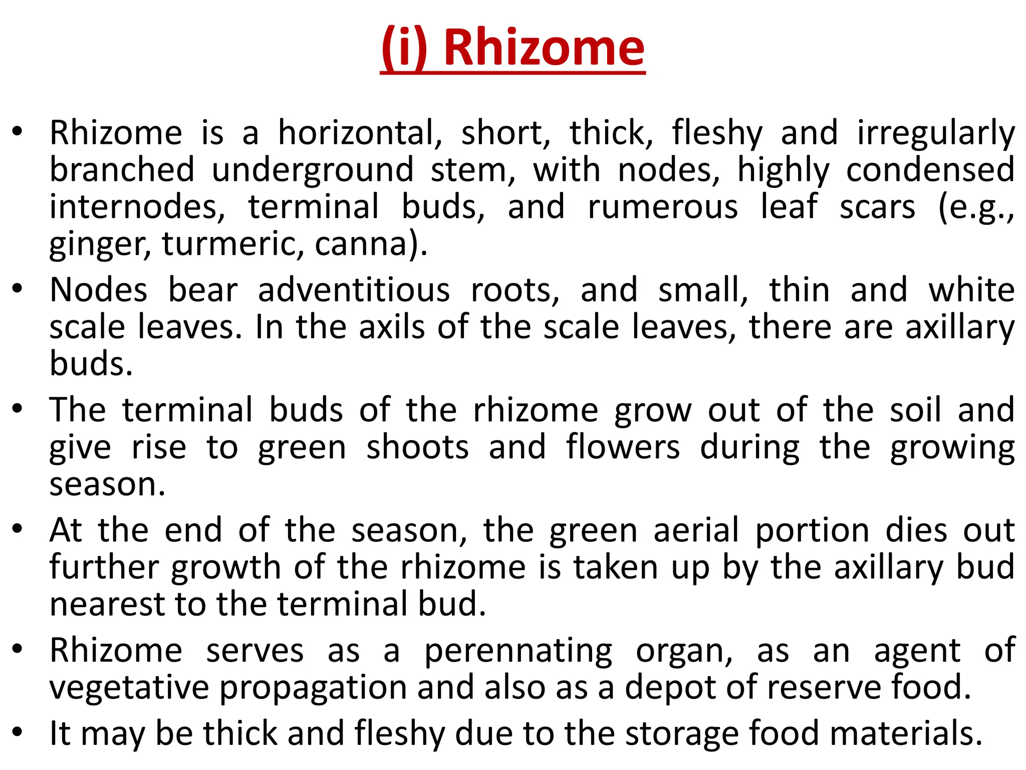 Stem modifications | PPTX