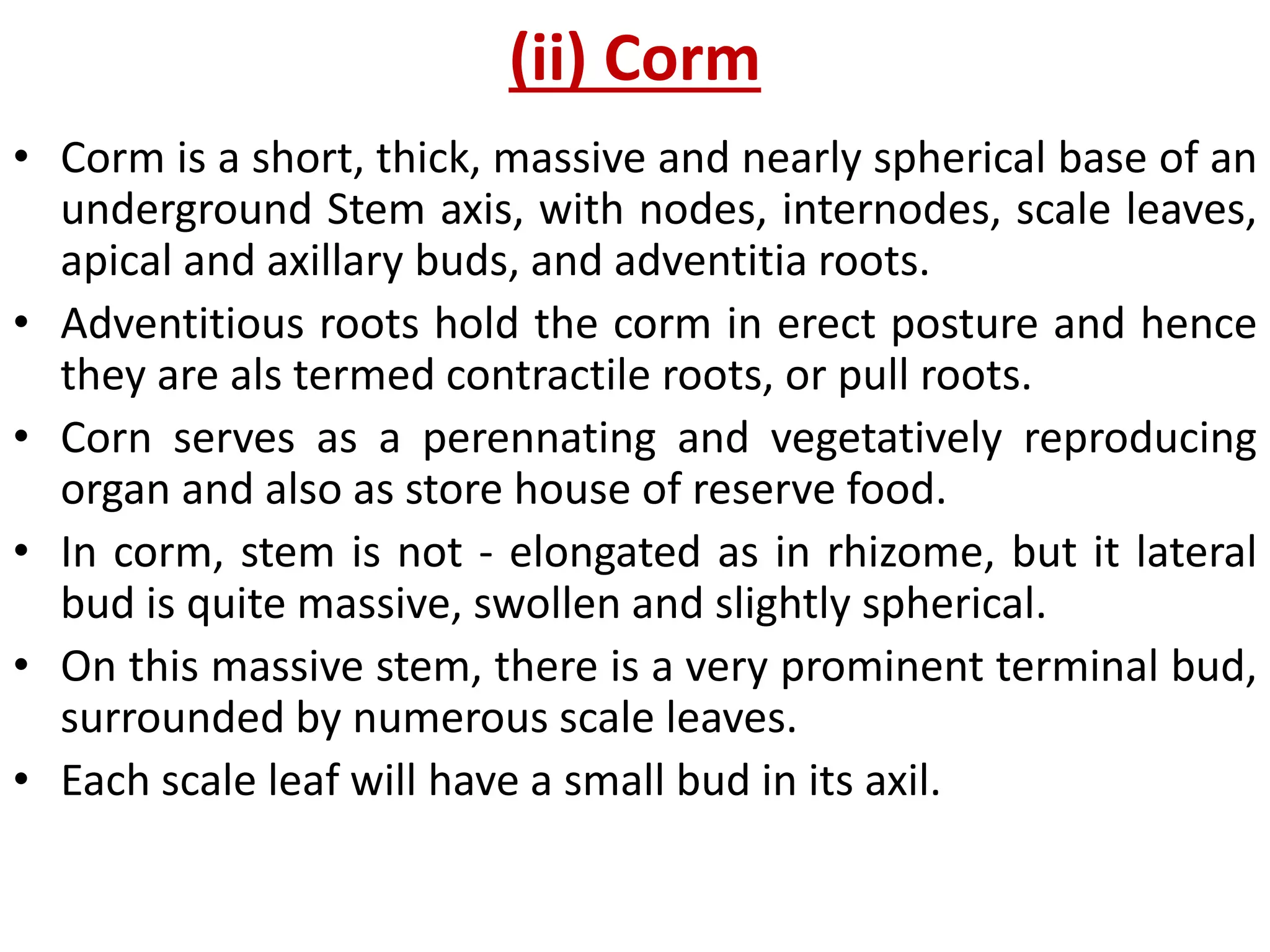 Stem modifications | PPTX