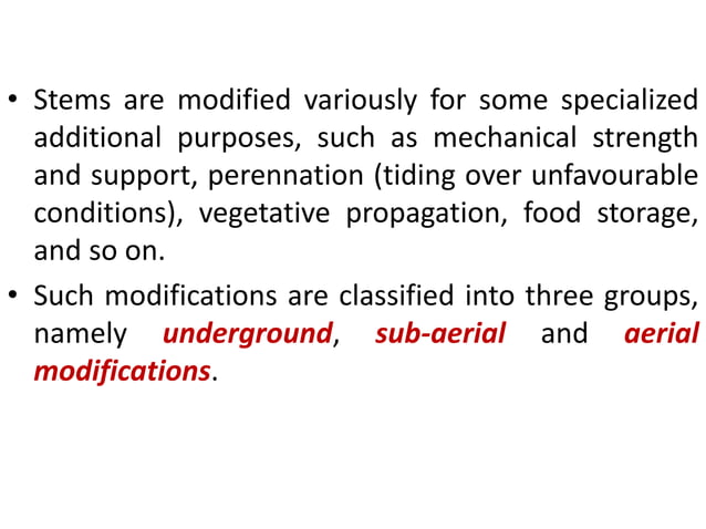Stem modifications | PPTX