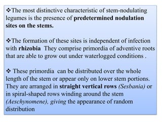 Stem nodulating | PPTX