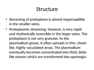 Structure and Reproduction in Stemonitis.pptx