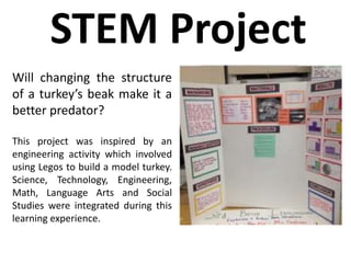 Stem project | PPTX