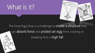 Stem Project Great Egg Drop | PPTX