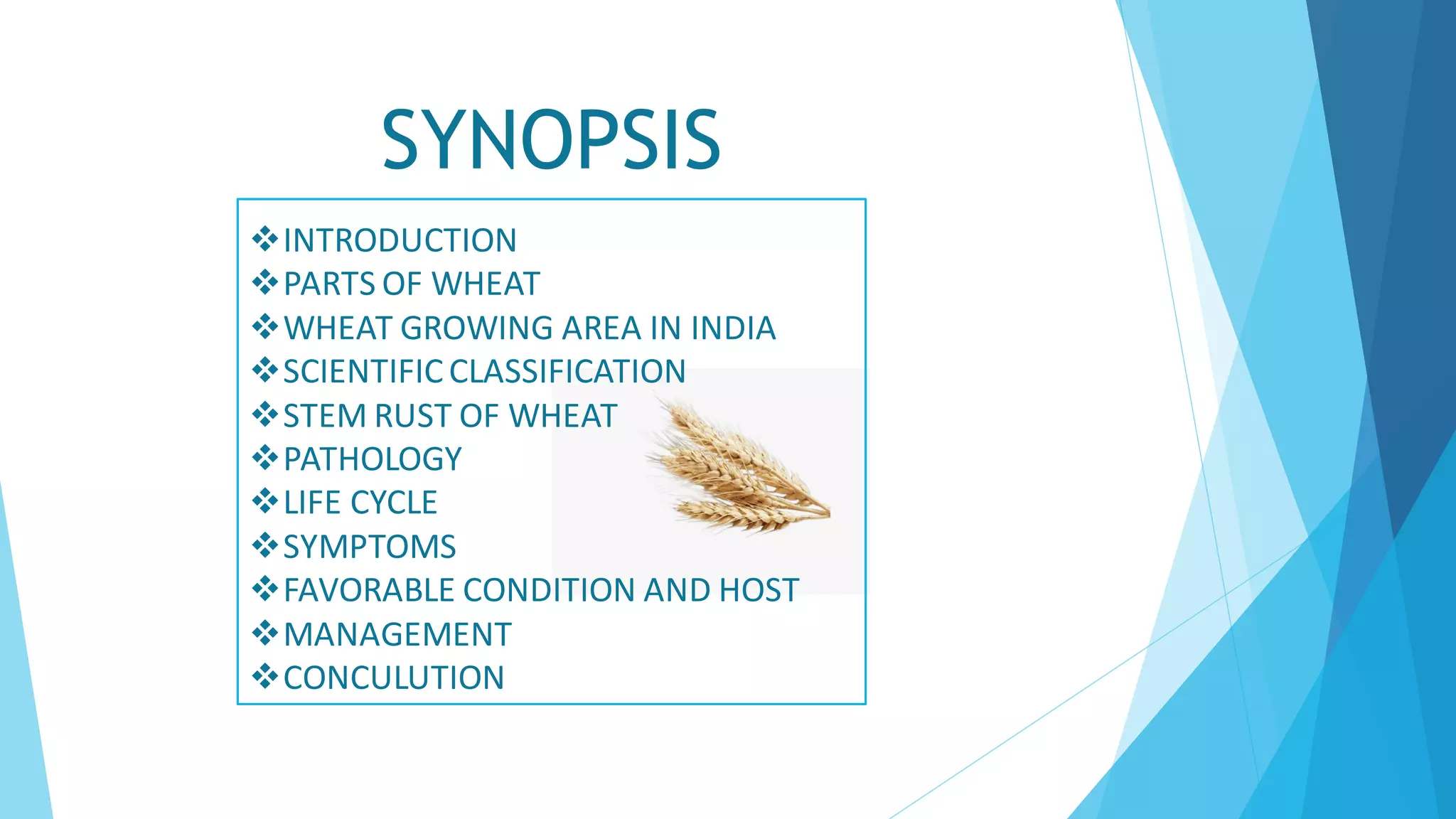STEM RUST OF WHEAT.pdf