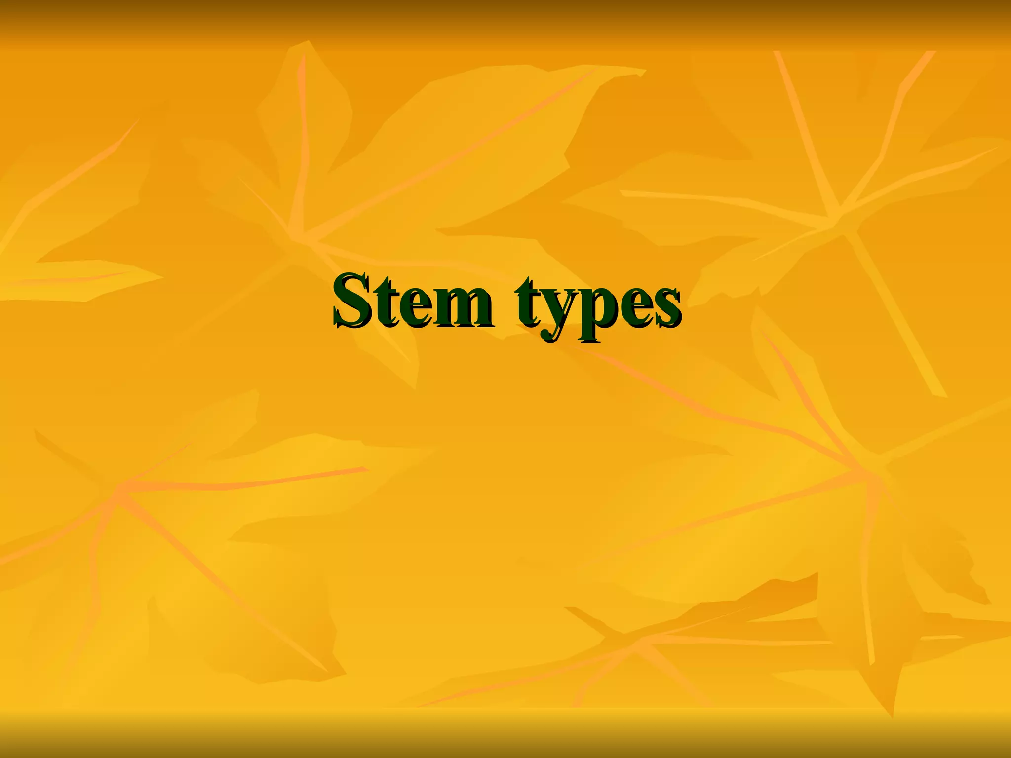 Stems | PPT