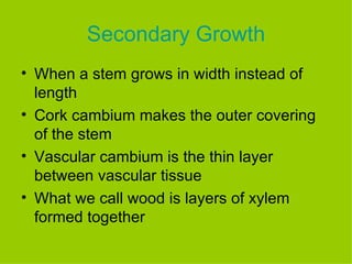 Stems | PPT