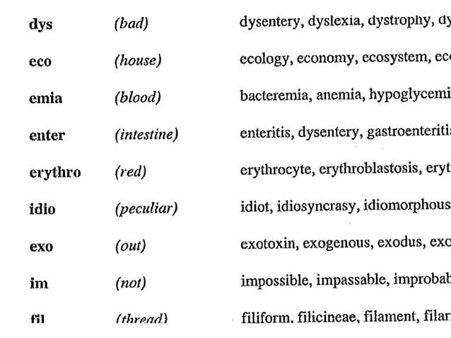 Stems Lists 11, 12, 13 | PPT