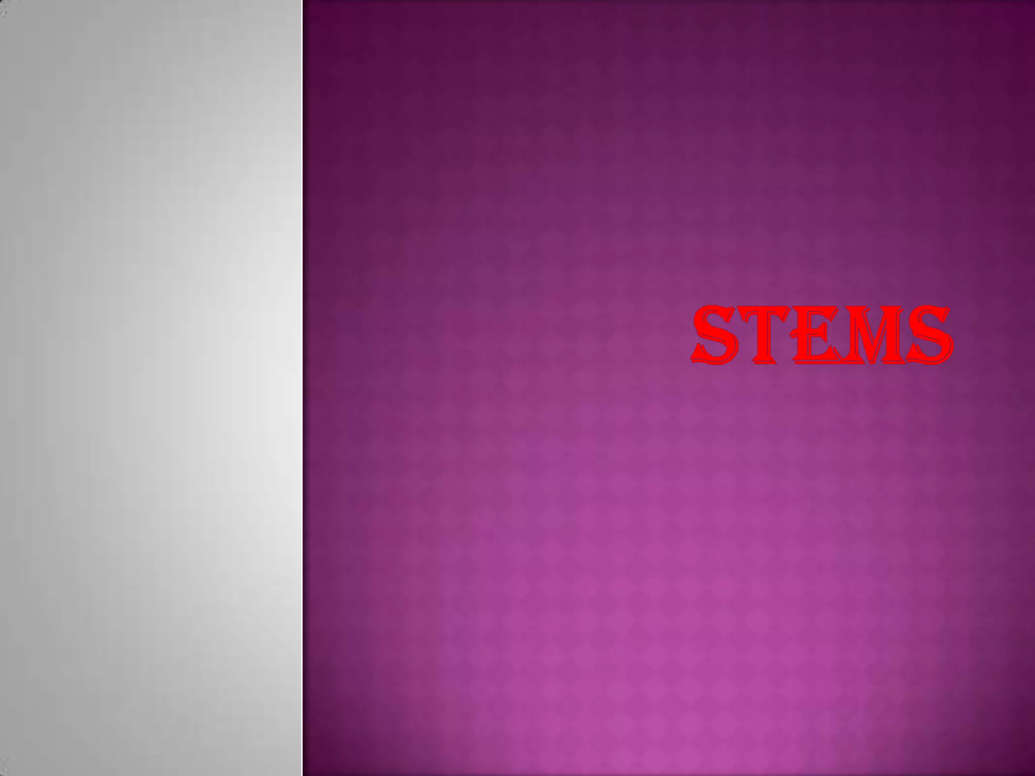 Stems | PPT