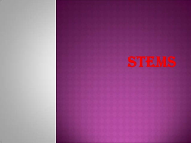 Stems | PPT