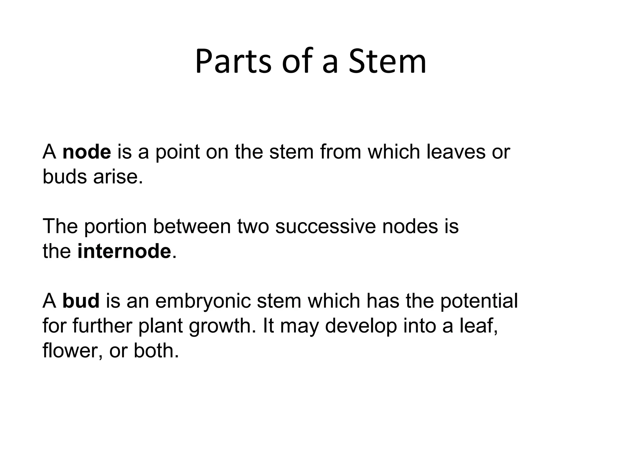 Stems | PPT