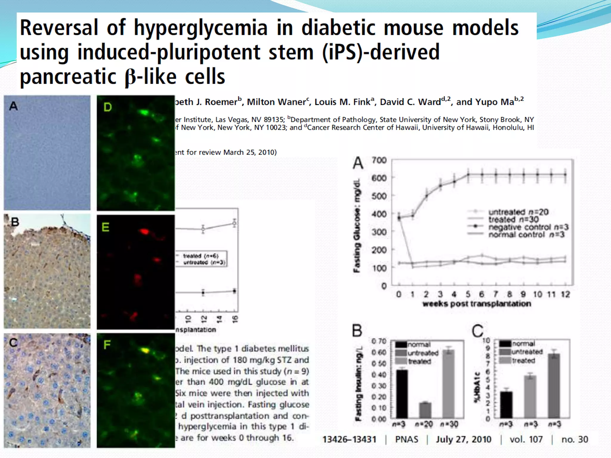 Stem sel pada hewan dan aplikasinya | PPTX