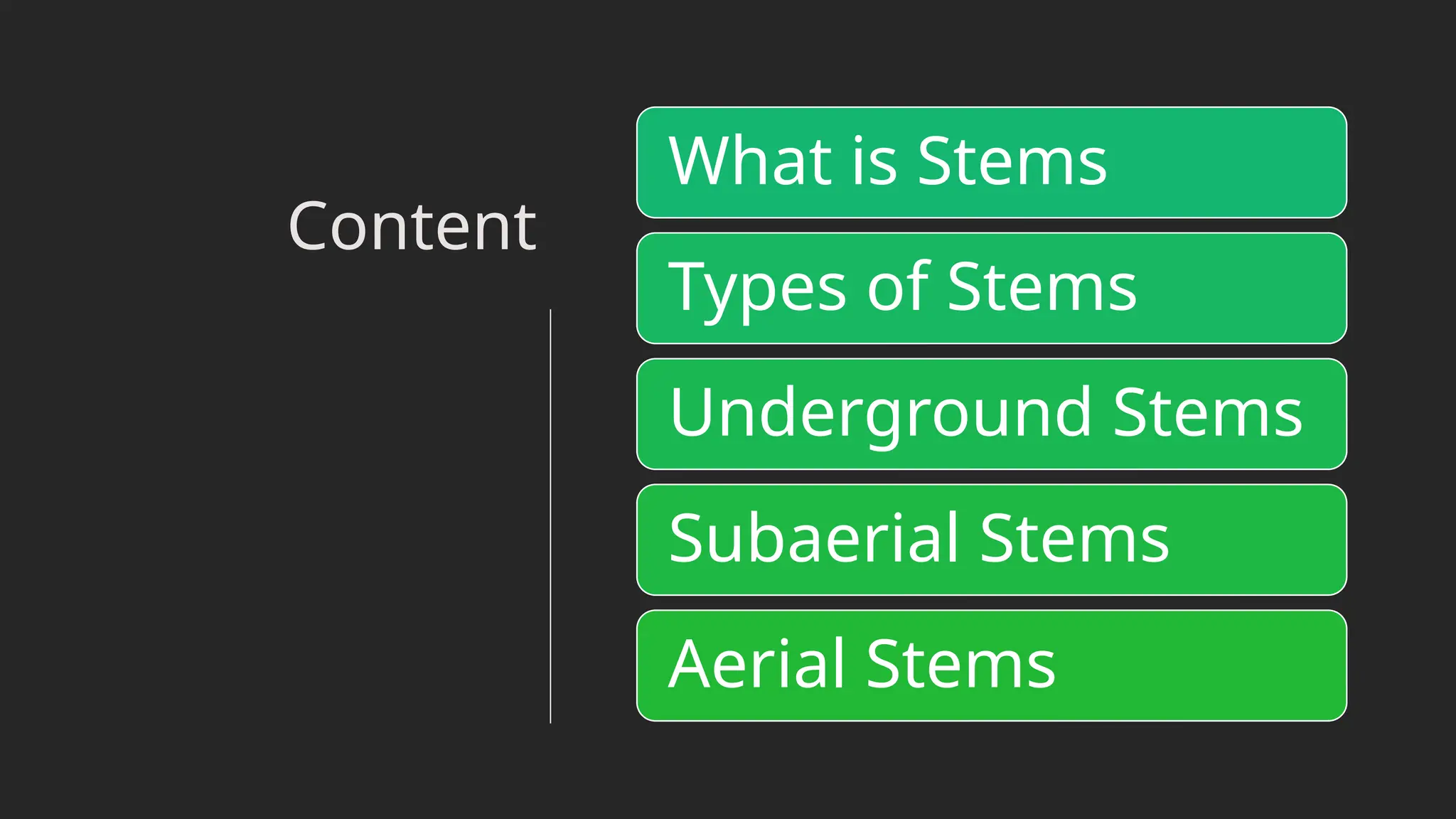 Different Types of Stems with Example ppt | PPT