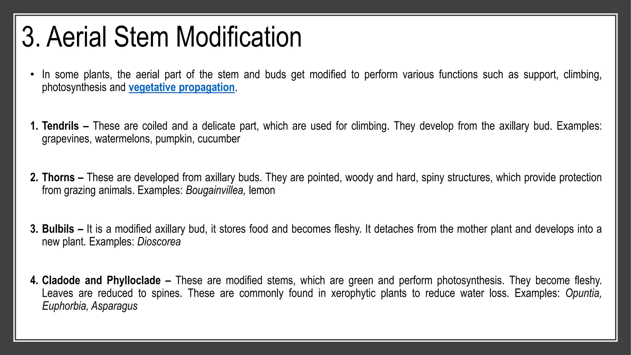 STEMS STRUCTURE AND MODIFICATION.pptx