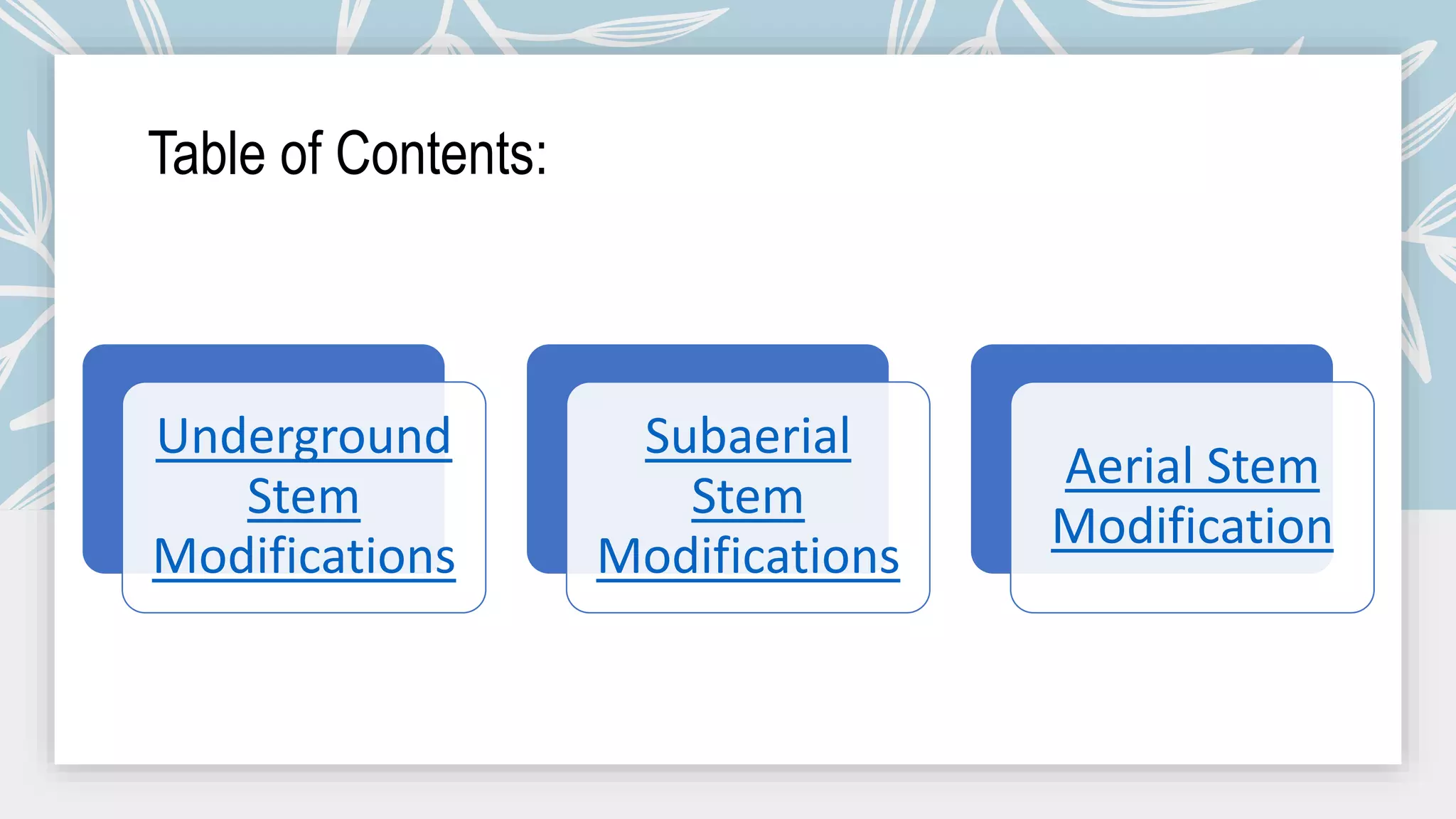 STEMS STRUCTURE AND MODIFICATION.pptx
