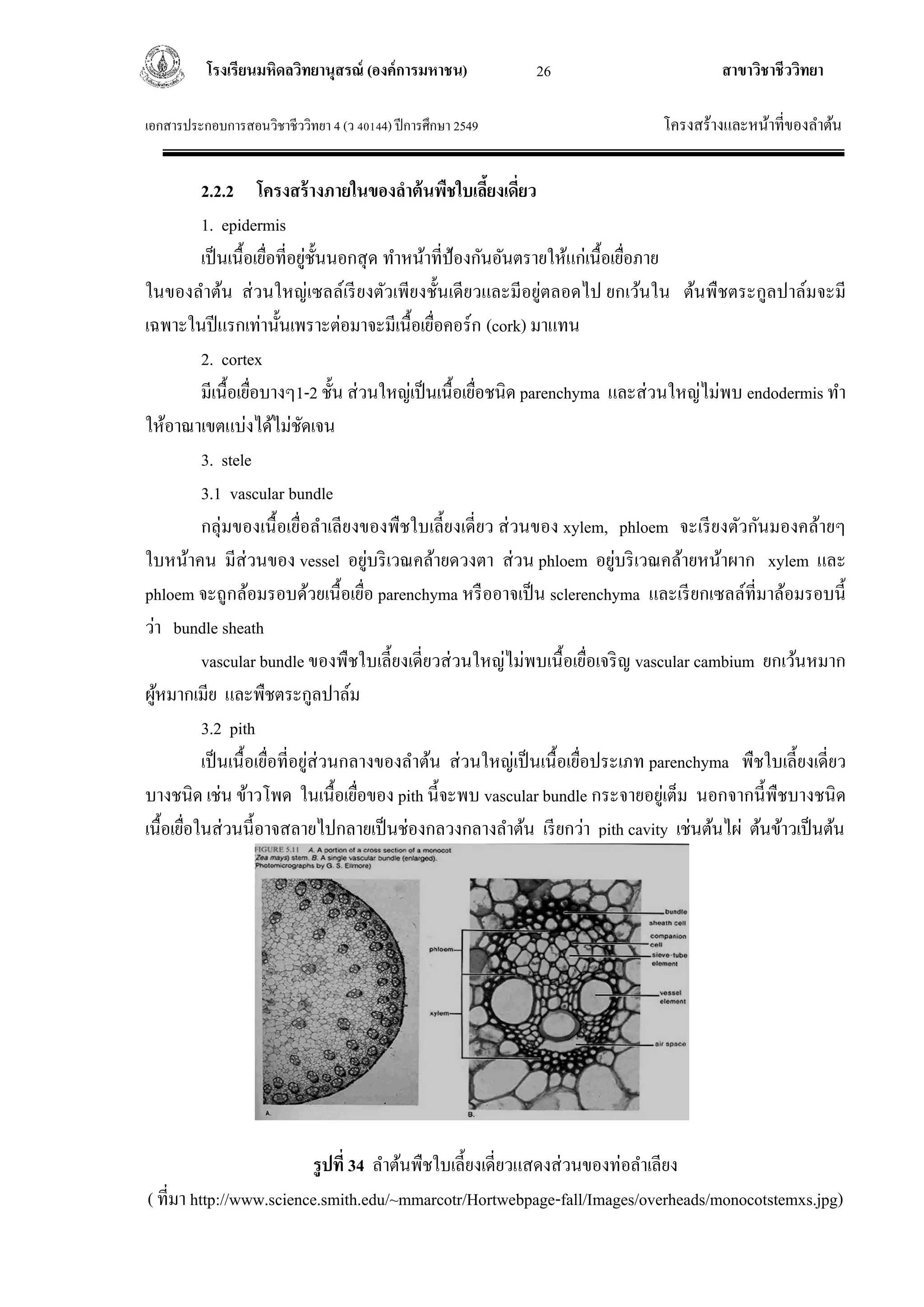 Stem Structure And Function Pdf 2122
