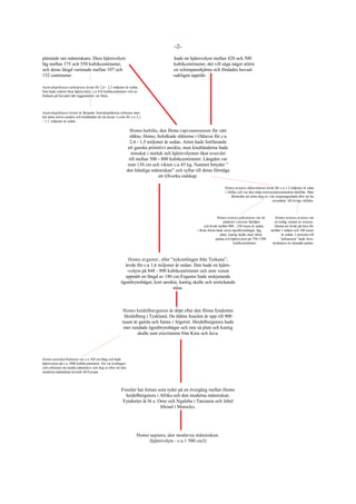 Stenålderns kulturhistoria | PDF
