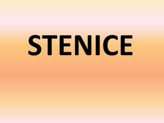 STENICE | PPT