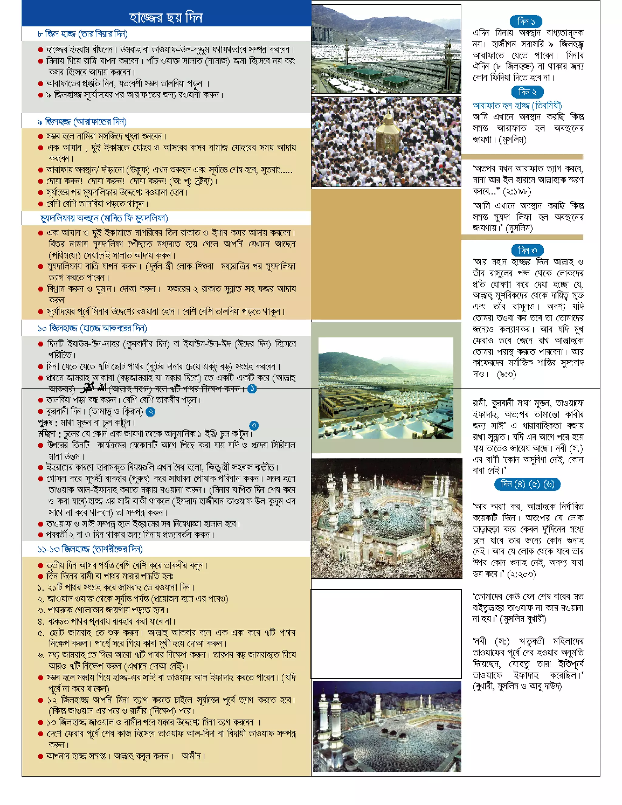 Step by-step-hazz-guide | PDF