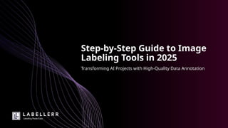 Step-by-Step Guide to Image Labeling Tools in 2025 | PPT