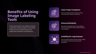 Step-by-Step Guide to Image Labeling Tools in 2025 | PPT