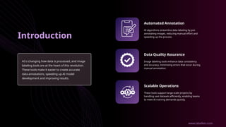 Step-by-Step Guide to Image Labeling Tools in 2025 | PPT