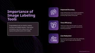 Step-by-Step Guide to Image Labeling Tools in 2025 | PPT