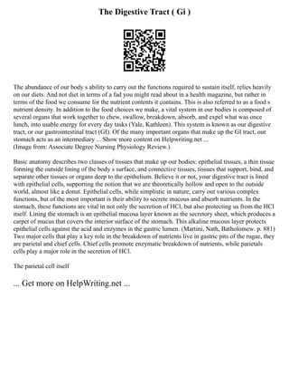 Step-By-Step Guide To Successful HSC Essay Writi | PDF | Digestive ...