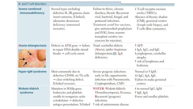 Step 1 Review of Immunodeficiencies | PPTX | Infectious Diseases ...