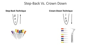 Stepbackvscrowndown Pptx