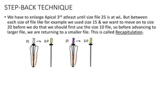StepBackVsCrownDown.pptx