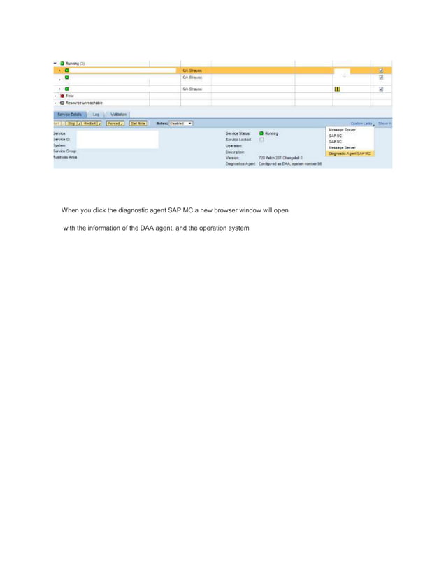 Step by step how to install diagnostic agent | DOCX