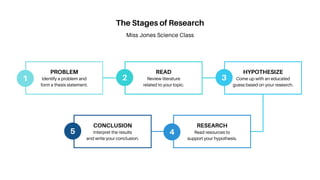 Step by Step Process Chart Visual Charts Presentation in Blue White ...