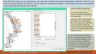 7.- ModestR tools for taxonomy (Version ModestR v5.3 or higher) | PPT