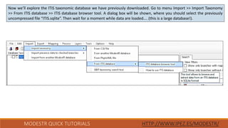 7.- ModestR tools for taxonomy (Version ModestR v5.3 or higher) | PPT