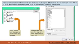 7.- ModestR tools for taxonomy (Version ModestR v5.3 or higher) | PPT