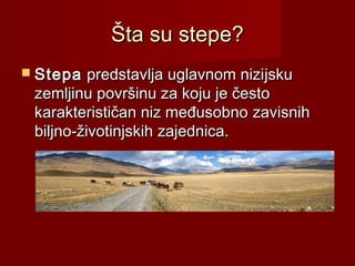 Stepe | PPT