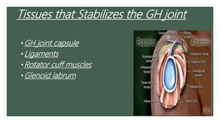 Shoulder joint Bio-Mechanics and Sports Specific Rehabilitation | PPTX