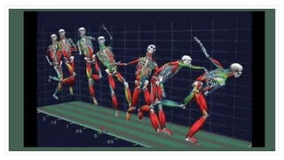 Shoulder joint Bio-Mechanics and Sports Specific Rehabilitation | PPTX