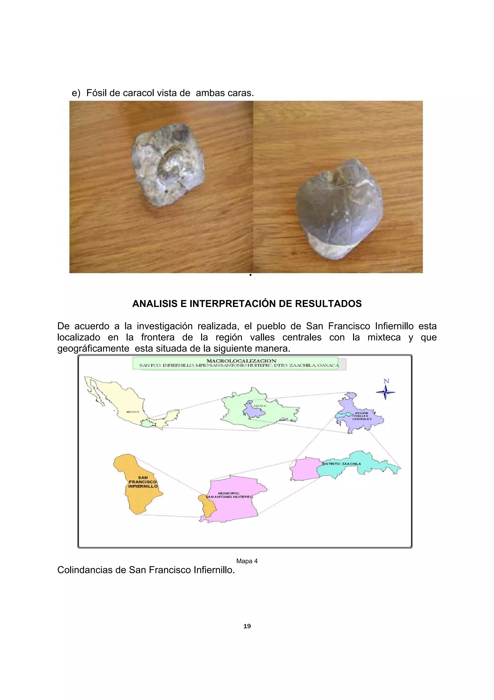evolucion , evidencia fosil. | PDF