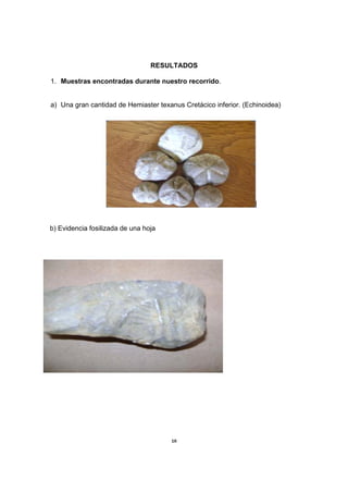 evolucion , evidencia fosil. | PDF