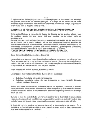 evolucion , evidencia fosil. | PDF