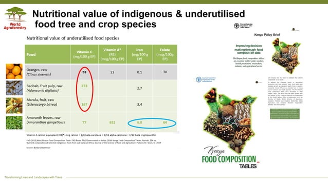 Filling harvest and nutrient 'gaps' through site-specific food tree and ...