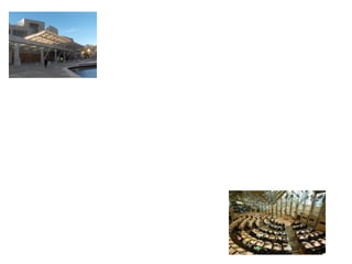 Stephanie Mcneely | PPT | Politics