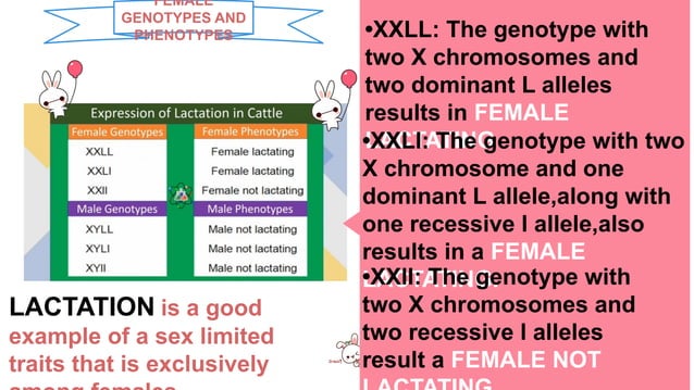 Sex-Limited Traits: Genes That Express in One Gender PPT.pptx ...